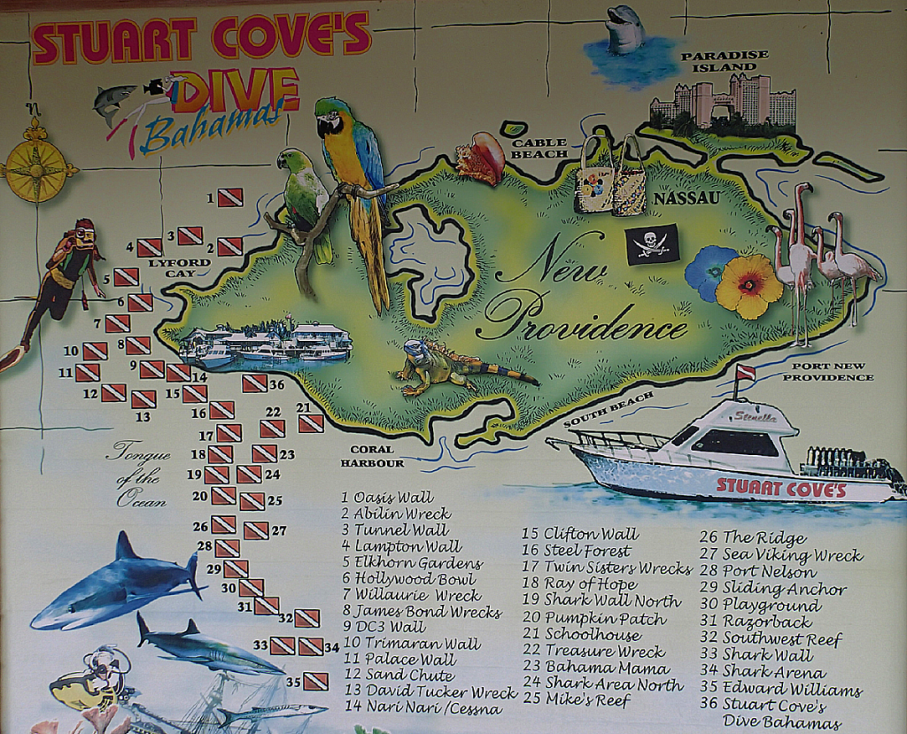 Stuart Cove – Sneakers & Fins