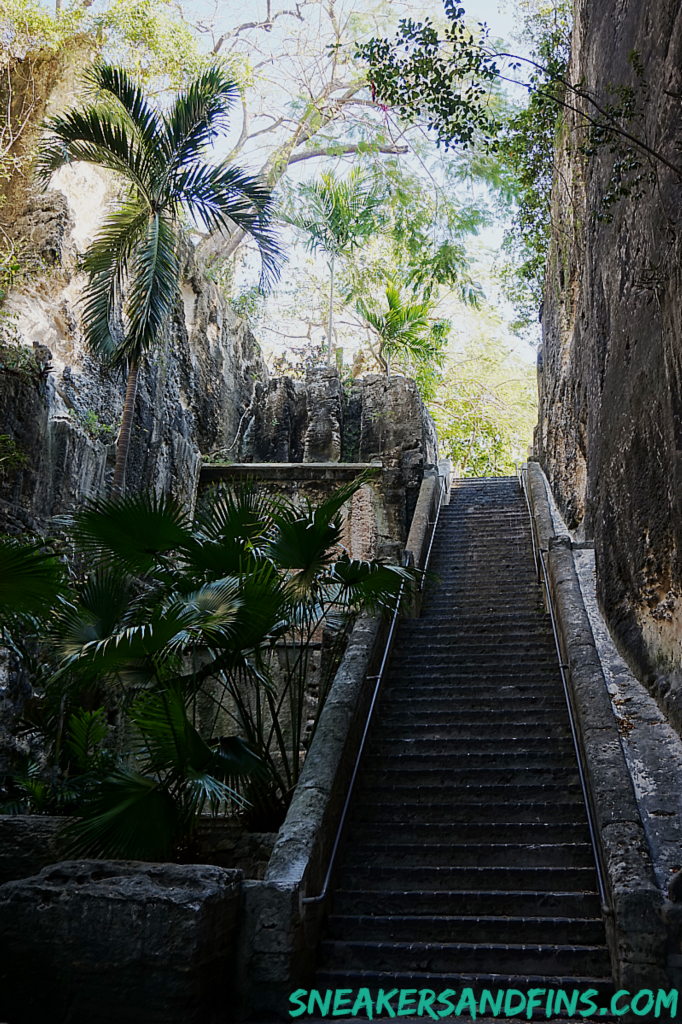 Queen’s Staircase – Sneakers & Fins