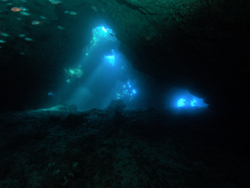 Lanai / Cathedral Dive – Sneakers & Fins